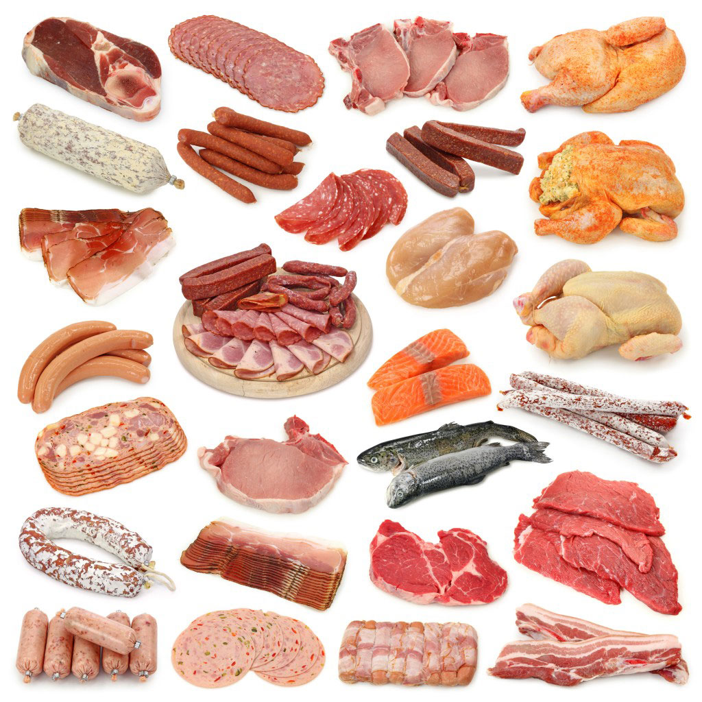 Arriba 92 Foto Alimentos De Origen Animal Dibujos Ani - vrogue.co Arriba 92 Foto Alimentos De Origen Animal Dibujos Ani - vrogue.co
