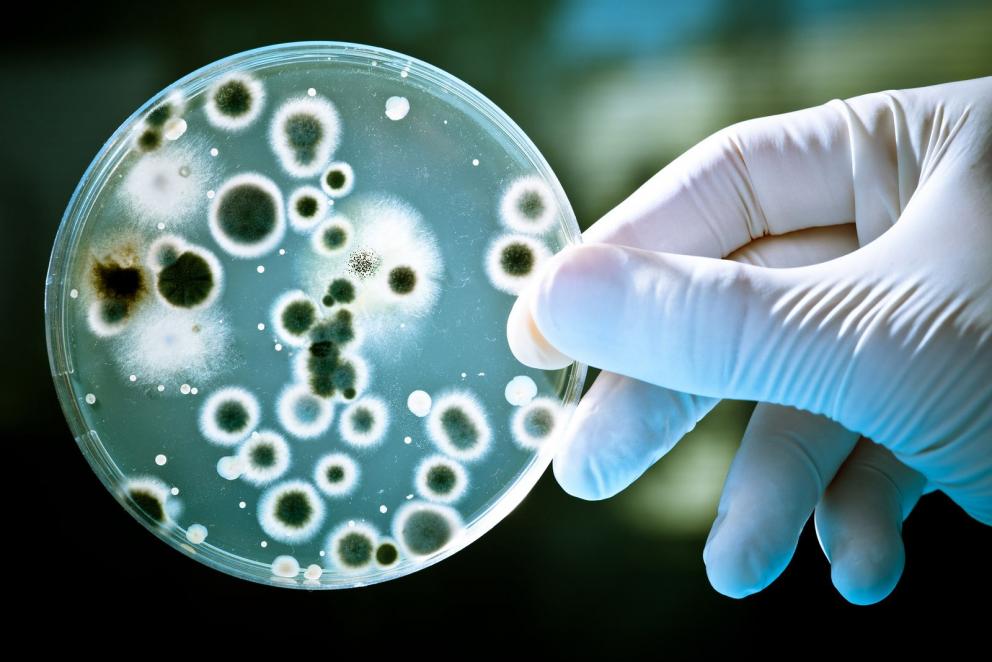 ¿qué Son Las Superbacterias Y Cómo Protegerse De Las Infecciones Mujer